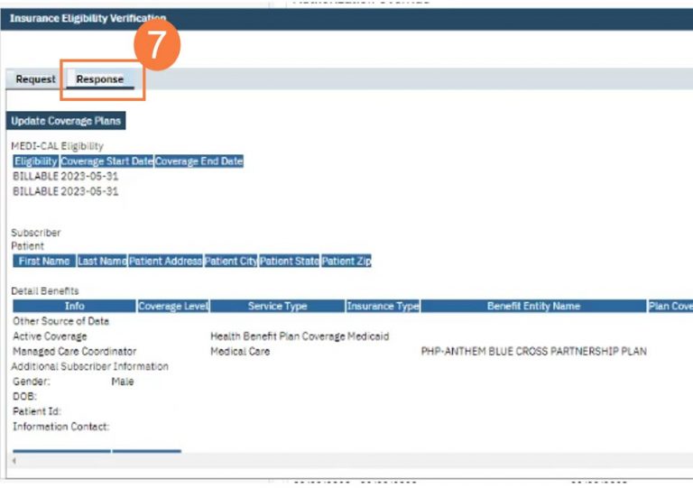 How to Run Real Time Eligibility (270/271) Screen - 2023 CalMHSA