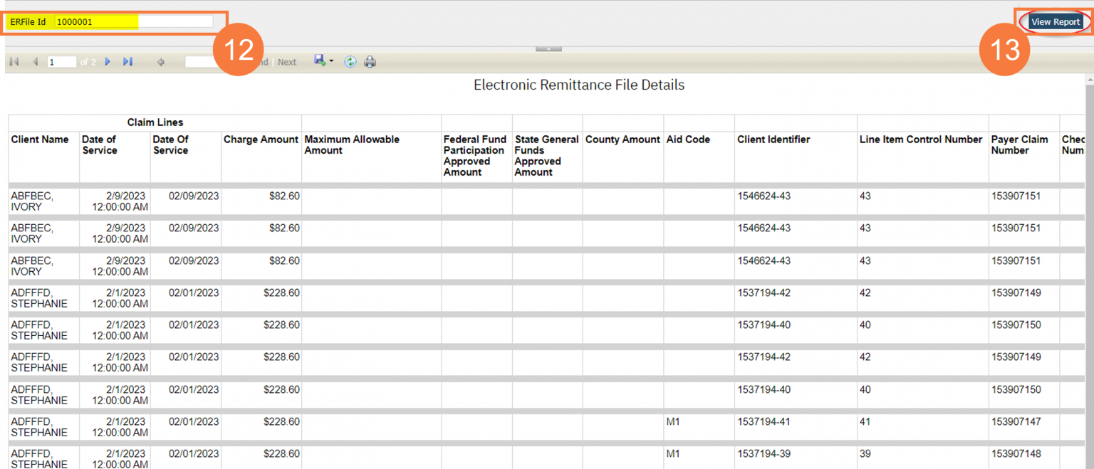 835 Files: How to View the Electronic Remit Report (ER Reports) - 2023 ...