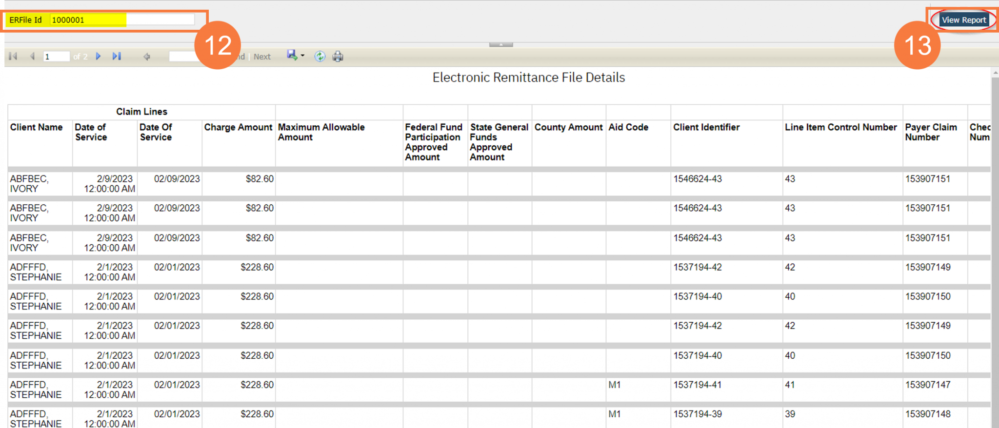 835 Files: How to View the Electronic Remit Report (ER Reports) - 2023 ...