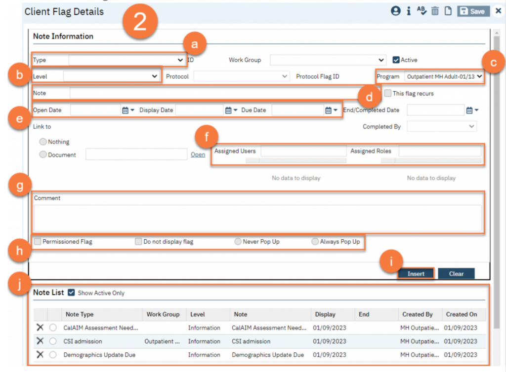 How to Create a Flag to Alert Treatment Team Members to Important ...