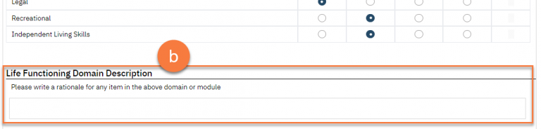 Child and Adolescent Needs and Strengths (CANS) Tool - 2023 CalMHSA