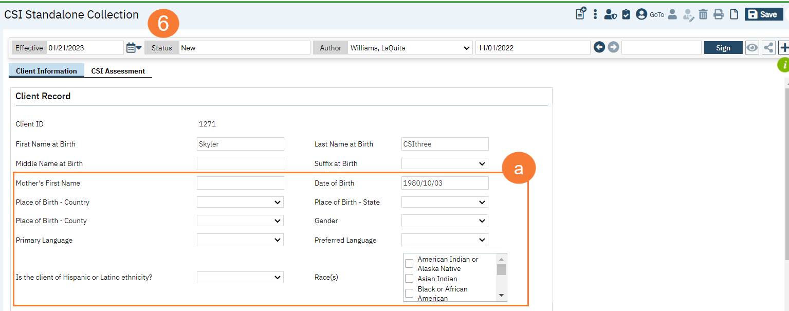 How to Complete a CSI Demographic Record - 2023 CalMHSA