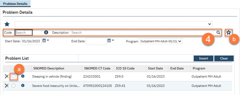 How to Add Favorites to the Problem List Screen - 2023 CalMHSA