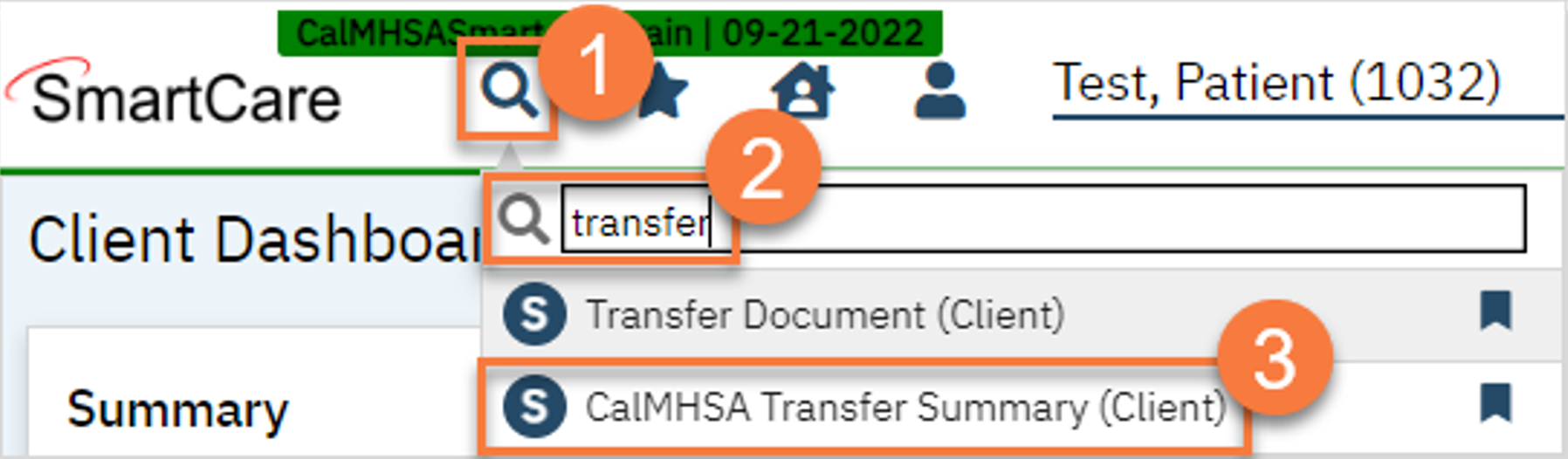 How to Complete the Transfer Summary - 2023 CalMHSA