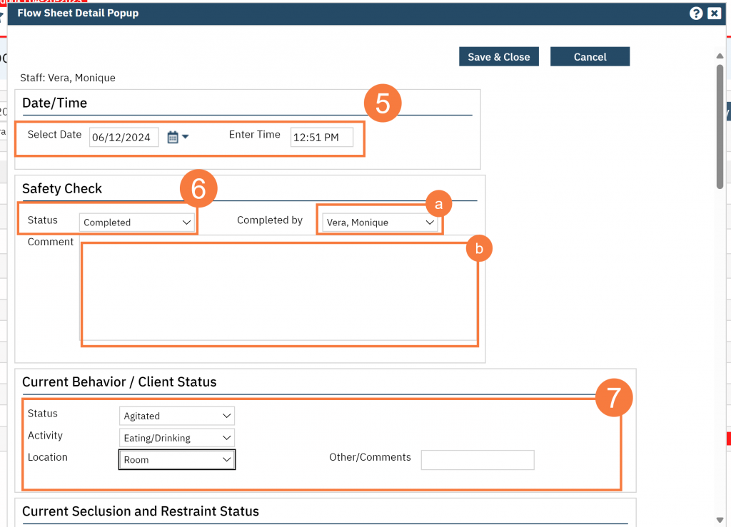 How to Document, Review, and Modify a Seclusion and Restraint Check and ...