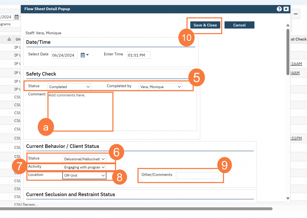 Safety Check and Flowsheet Documentation - 2023 CalMHSA