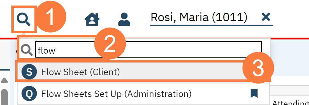 Safety Check and Flowsheet Documentation - 2023 CalMHSA
