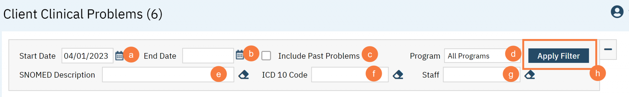 Client Clinical Problem List Page - 2023 CalMHSA