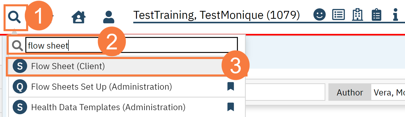How to Document Results on the Client's Flow Sheets - 2023 CalMHSA