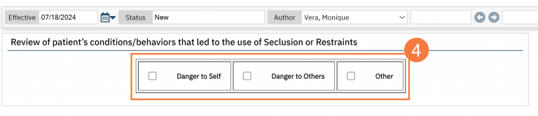 How to Document a 1 Hour Face-to-Face Assessment for Seclusion or ...