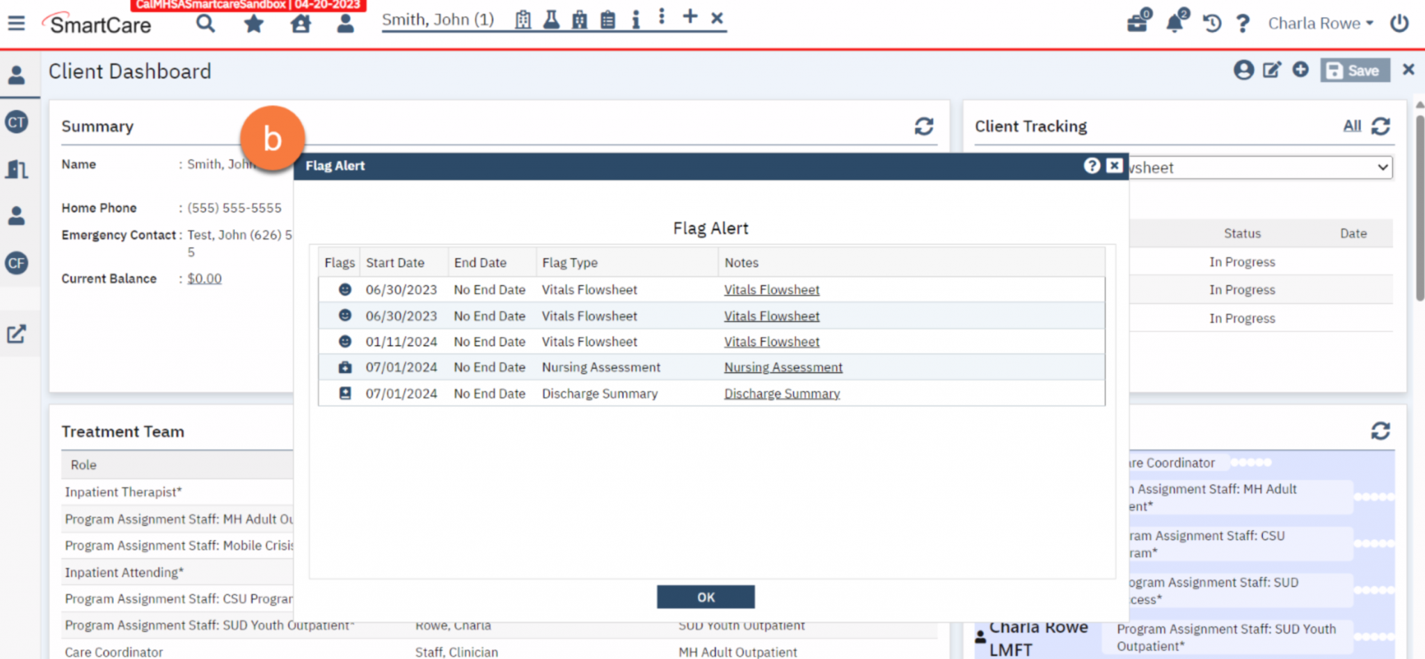 Client Flags and Tracking Protocol Overview - 2023 CalMHSA